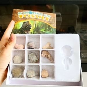 Accents | Fossils Collection Kit Set Of 9 Fossils | Poshmark